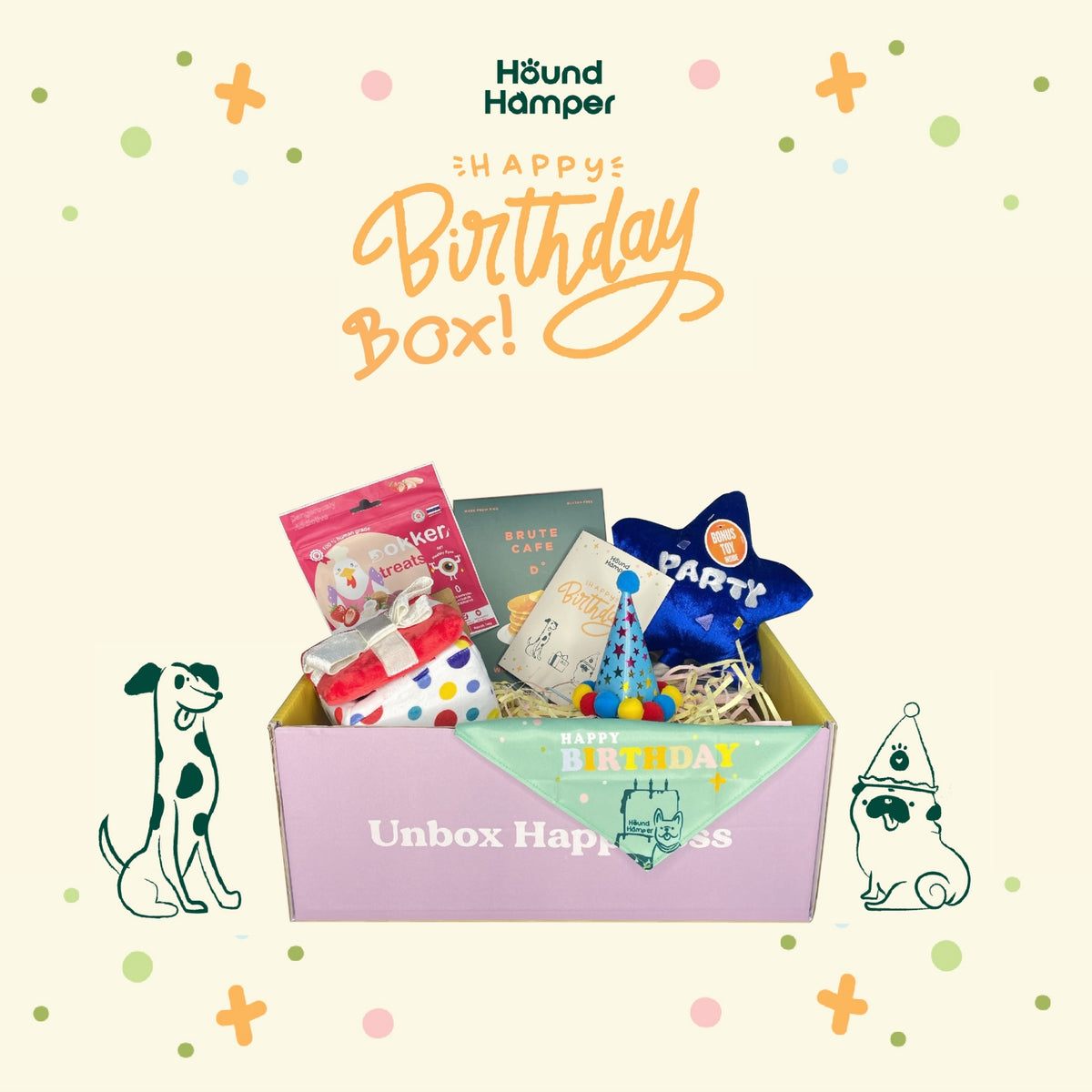 Dog Birthday Box for Boys from Hound Hamper – houndhamper